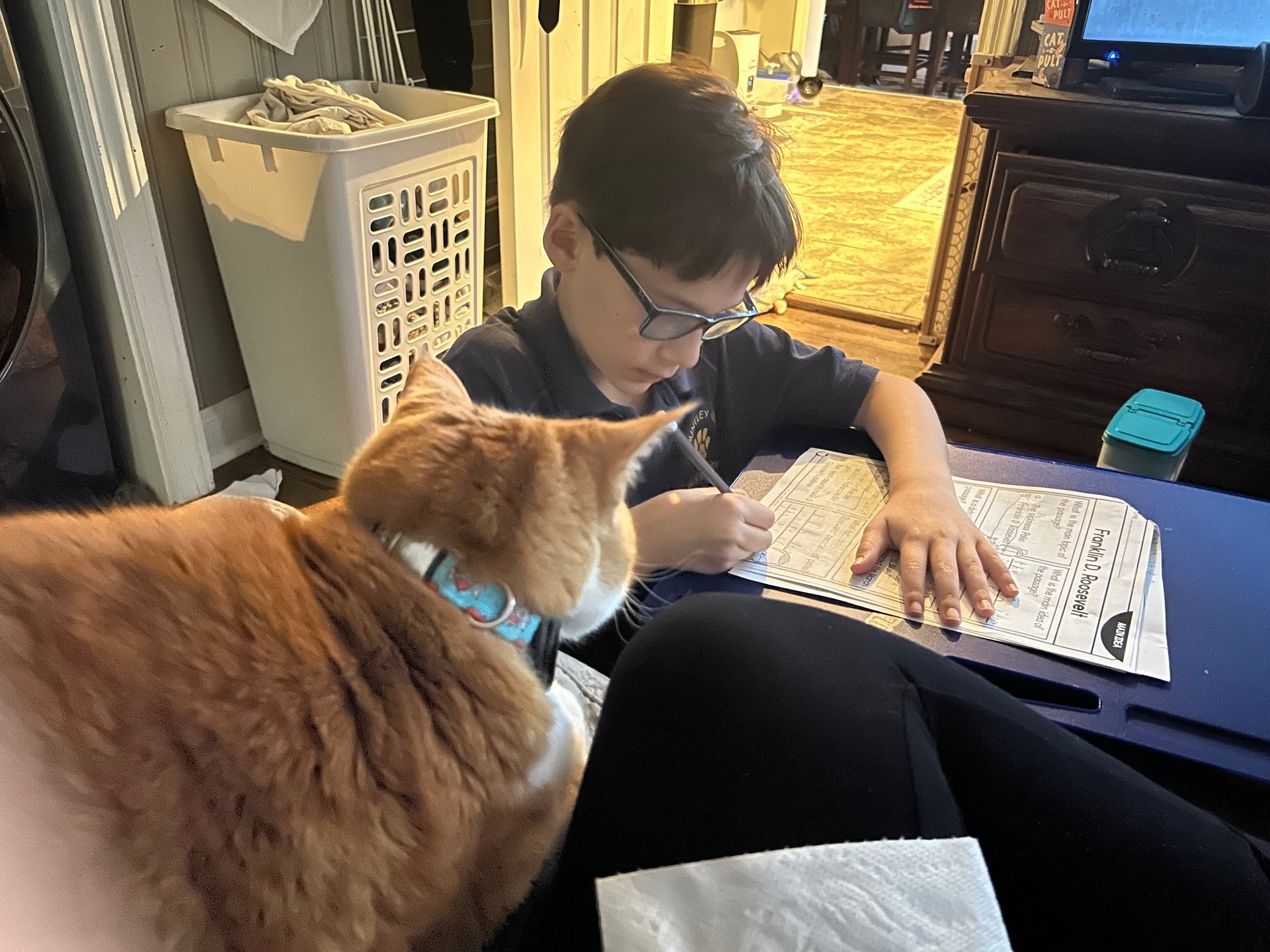 A book isn’t just a book – Mommyhood Mayhem and Me